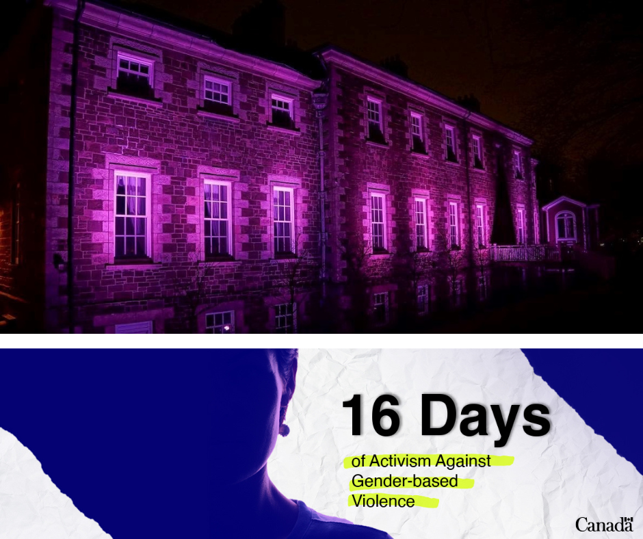 16 Days of Activism Against Gender-based Violence - The Lieutenant ...