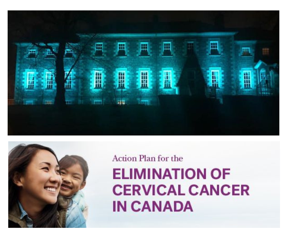 Action Plan to Eliminate Cervical Cancer in Canada - The Lieutenant ...